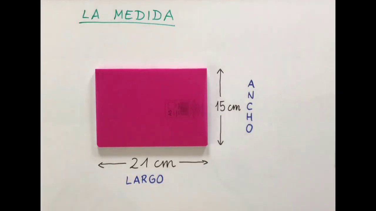 ¿Cuál es el Ancho y el Largo? Guía Completa para Entender Dimensiones y Medidas - El Blog de Raquel