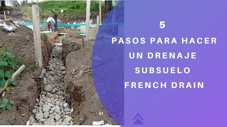 Cómo Evacuar Aguas Residuales en una Casa de Campo: Guía Práctica y ...