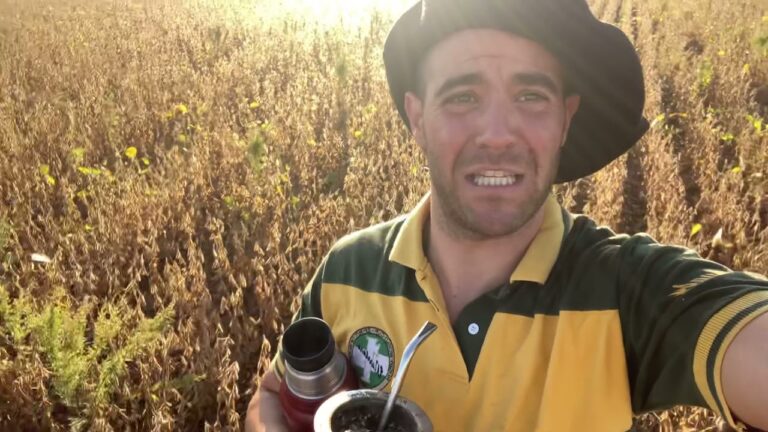 Diferencia entre Cosechar y Sembrar: Guía Completa para Entender estos ...